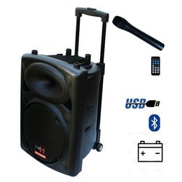 E-Lektron EL25-M mobile Soundanlage Party-Lautsprecher (Bluetooth