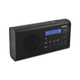 Kärcher Karcher DAB 2405 Digitalradio (DAB) (tragbar (DAB+ / UKW