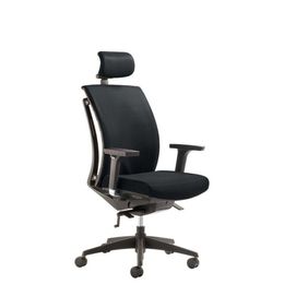 mayer Sitzmöbel Mayer Sitzmöbel Bürostuhl Drehsessel mit Wirbelsäulen-Analog-System & Kopfstütze