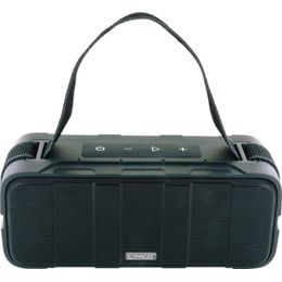 Schwaiger ALD0017 Portable-Lautsprecher (Bluetooth