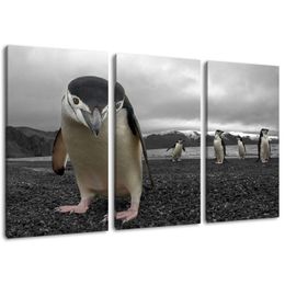 Pixxprint Leinwandbild Lustige Pinguine