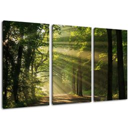 Pixxprint Leinwandbild Waldweg im Frühling