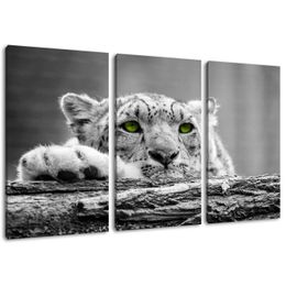 Pixxprint Leinwandbild Schöner Gepard mit grünen Augen