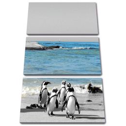 Pixxprint Leinwandbild lustige Pinguine am Strand