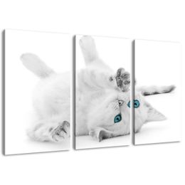 Pixxprint Leinwandbild Katze mit Augen