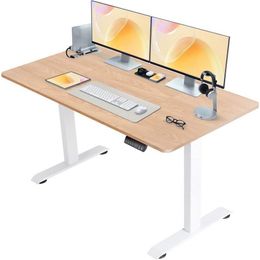 HOMALL Schreibtisch Höhenverstellbarer Elektrisch Schreibtisch