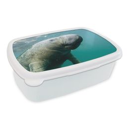 MuchoWow Lunchbox Tiere - Wasser