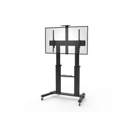 conecto conecto LM-FS03G Professional TV-Ständer Standfuß für Flachbildschirm TV-Ständer