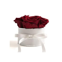Kunstblume Infinity Rosenbox weiß rund 4 konservierte Rosen inklusiv Geschenkbox Rose