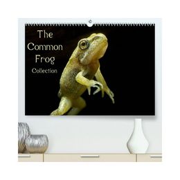 Calvendo Wandkalender The Common Frog Collection (Premium-Calendar 2023 DIN A2 Landscape)