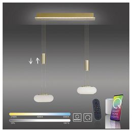 Paul Neuhaus Smarte LED-Leuchte LED Pendellampe Q ETIENNE Smart Home