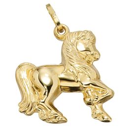 Schmuck Krone Kettenanhänger Goldanhänger Schmuck Anhänger Pferd aus 333 Echt Gold Gelbgold Halsschmuck