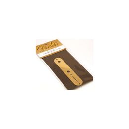 Fender Westerngitarre, Vintage Telecaster Control Plate 2-Hole Gold