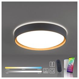 Paul Neuhaus Smarte LED-Leuchte LED Deckenleuchte Q EMILIA Smart Home