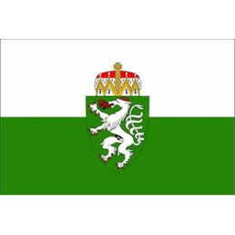 flaggenmeer Flagge Steiermark mit Wappen 80 g/m²