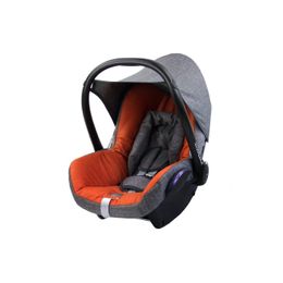 BambiniWelt by Rafael K. Babyschale Ersatzbezug kompatibel mit Maxi Cosi Cabrio Fix Babyschale 6-tlg