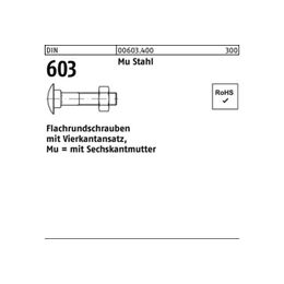 Reyher Schraube 100er Pack Flachrundschraube DIN 603 Vierkantansatz/6-ktmutter M10x300