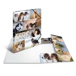 Herma Organisationsmappe Sammelmappe DIN A3 Karton Tiere Hunde
