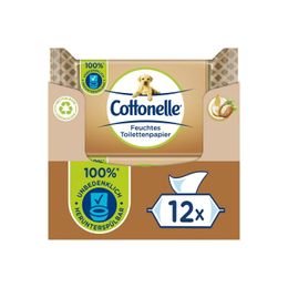 Cottonelle® Toilettenpapier Feuchtes Toilettenpapier Kaschmir & Shea Butter 12 x 42 Tücher (Vorratspackung 12 x 42 Tücher)