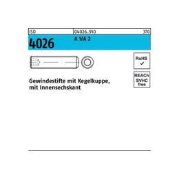 Reyher Gewindebolzen 500er Pack Gewindestift ISO 4026 Kegelkuppe/Innen-6kt M5x 8 A 1/A 2 50