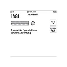 Reyher Spannstift 1000er Pack Spannstift DIN 1481 3x 14 Federstahl schwere Ausführung 1