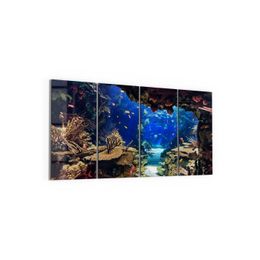 DEQORI Glasbild 'Exotisches Aquarium'