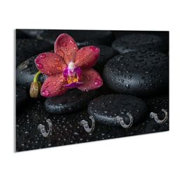 Wallario Handtuchhalter Orchideen-Blüte auf schwarzen Steinen
