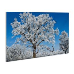 Wallario Handtuchhalter Schneebedeckter Baum mit blauen Himmel