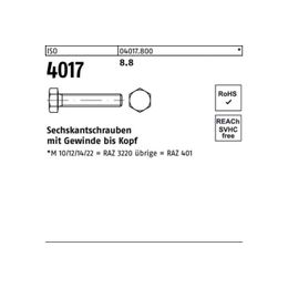 Bufab Sechskantschraube 100er Pack Sechskantschraube ISO 4017 VG M27x 170 8.8 1 Stück ISO 401