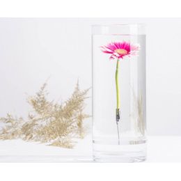 Esschert Design Kugelvase Versunkene Blumen Vase 30cm Glas mit Clip unter Wasser Pflanzen Deko (1 Vase)