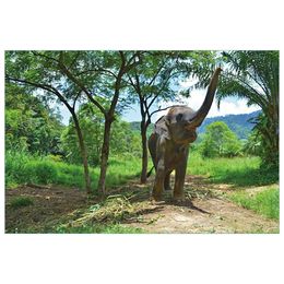 Wallario Küchenrückwand Junger Elefant im Dschungel