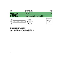 Reyher Schraube 200er Pack Flachkopfschraube ISO 7045 PH M5x80-H 4.8 galv.verz. 200St.