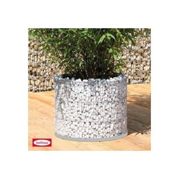 bellissa Rankhilfe bellissa Gabione rund Ø40cm Pflanzgabione Gartenteich Gabionentopf Ste