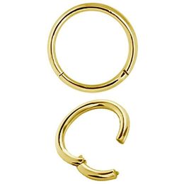 Karisma Piercing-Set Karisma Gold 18 Karat Edelstahl Hinged Scharnier Segment Ring Ohrring Nase 1