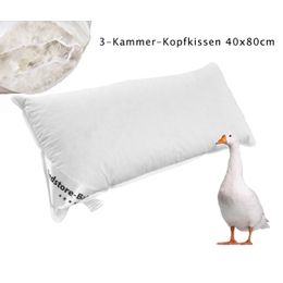 3-Kammer-Kopfkissen 40x80cm Federn Daunen Füllung 750g Hotelqualität Pillow