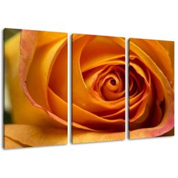 Pixxprint Leinwandbild Anmutige gelbe geschlossene Rose