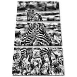 Pixxprint Leinwandbild kämpfende Zebras