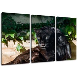 Pixxprint Leinwandbild schwarzer Panther