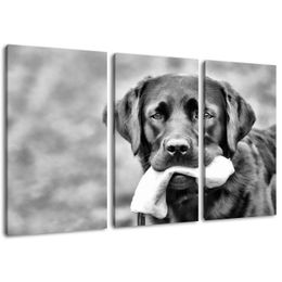 Pixxprint Leinwandbild schwarzer Labrador mit Spielzeug