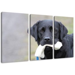 Pixxprint Leinwandbild Labrador mit Spielzeug