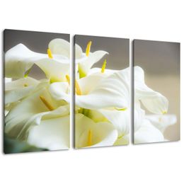 Pixxprint Leinwandbild Wunderschöne weiße Calla Lilien
