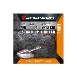 Jackson Fishing Jighaken, Jackson VMC Jighead Stand Up 4/0 für Köderlänge 9–13 cm 21g