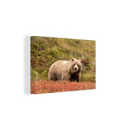 OneMillionCanvasses® OneMillionCanvasses® Leinwandbild Bär