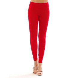 SYS Leggings Damen Leggings lang hoher Bund Baumwolle blickdicht