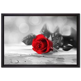 Pixxprint Leinwandbild Rose auf Holztisch