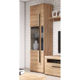 Lomadox Vitrinenschrank Eiche Grandson Nb. TURDA-83 moderner Stil, b/h/t: ca. 60/204/39 cm - braun