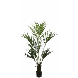Mica Decorations - Mica Kunstpflanze Kentiapalme grün, 150 x 90 cm Kunstpflanzen
