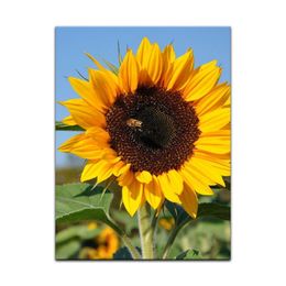 Bilderdepot24 Leinwandbild Sonnenblume mit Biene
