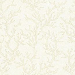 A.S. Création Unterwasser Tapete in Crème Weiß | Maritime Tapete ideal für Badezimmer und Gäste wc | Vinyl Vliestapete mit Muschel und Koralle - Beige / Crème, Grau