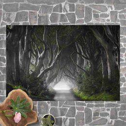 MICASIA - Vinyl-Teppich - Wald in Nordirland - Querformat 2:3 Größe HxB: 40cm x 60cm